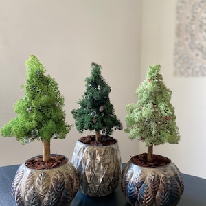 Preserved Moss Christmas Tree | Miniature Christmas Stabilized Moss ...