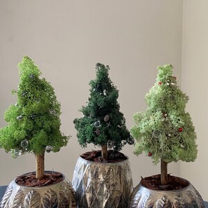 Preserved Moss Christmas Tree | Miniature Christmas Stabilized Moss ...