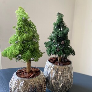 Preserved Moss Christmas Tree | Miniature Christmas Stabilized Moss ...