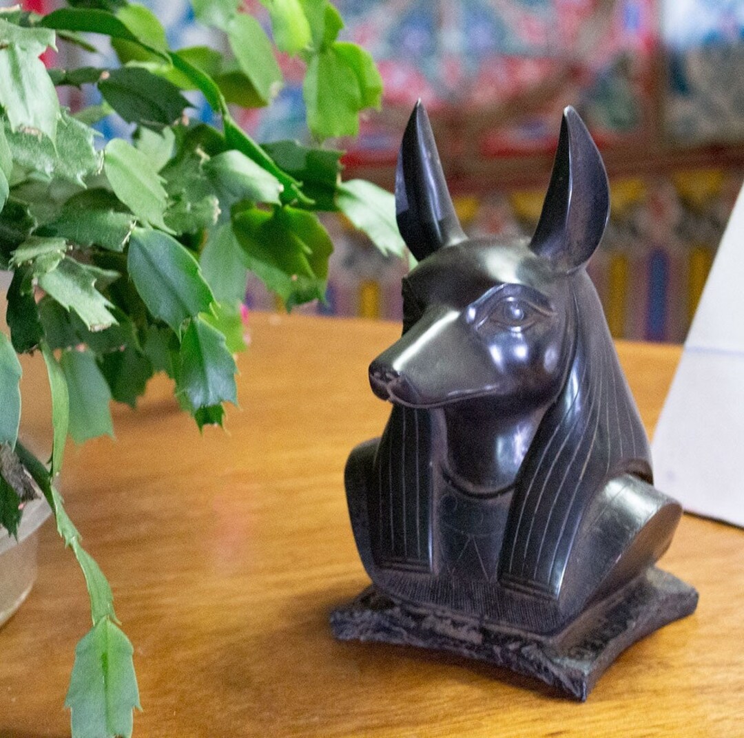 Anubis Bust Statue Egyptian God Collectible Made in Egypt - Etsy