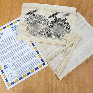 Papyrus Activity Kit - Ancient Egypt Home School Supplies - Egyptology ...