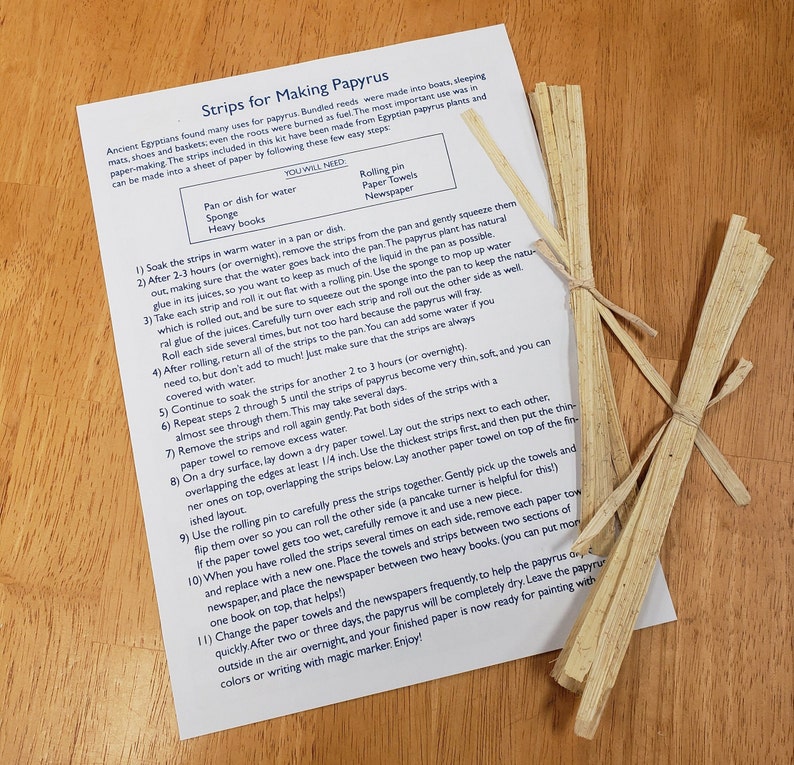 Papyrus Activity Kit - Ancient Egypt Home School Supplies - Egyptology ...