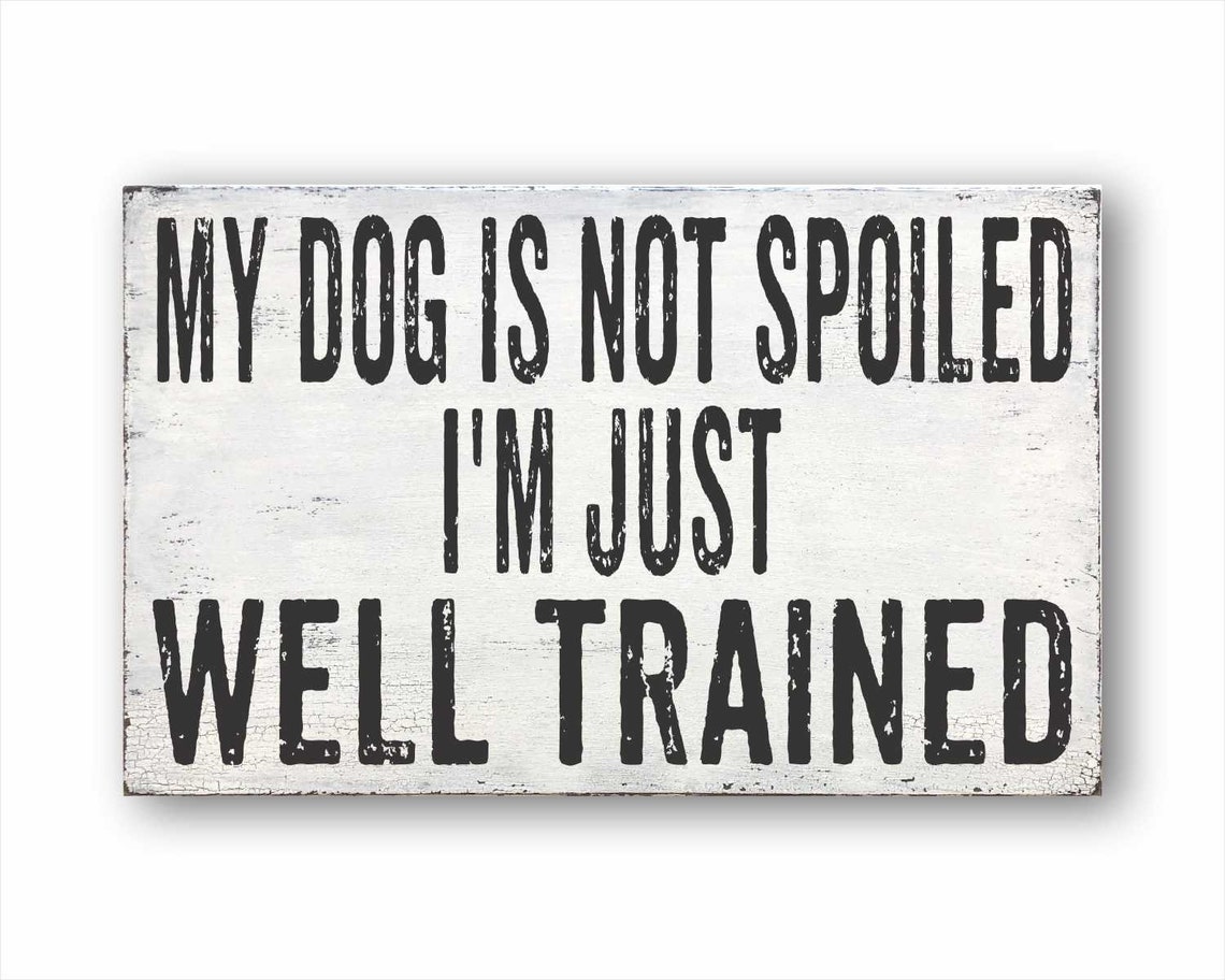 Dog Sign Funny Dog Sign Funny Dog Quote Box Sign My Dog is | Etsy