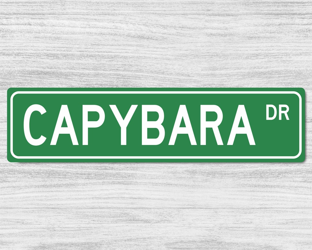 Custom Street Sign Capybara Sign Personalized Gift Capybara - Etsy