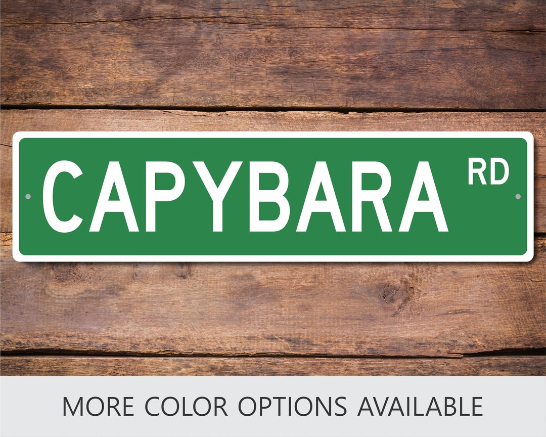 Custom Street Sign Capybara Sign Personalized Gift Capybara - Etsy