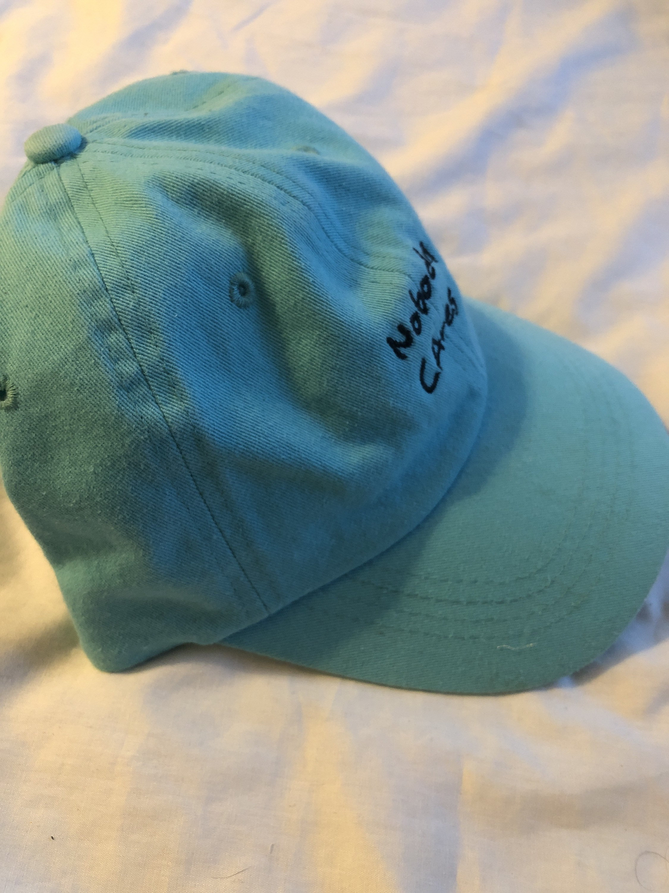 Nobody Cares Dad Hat - Etsy