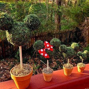 Topiary - Mickey & Minnie Topiaries for Magic to Home, Wedding, Mad Tea ...