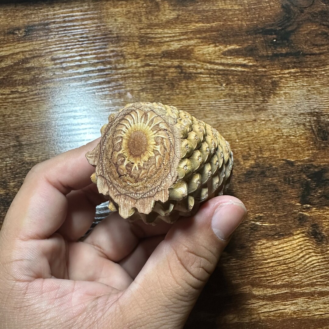 Knobcone Pinecone no Base Cone READ BELOW Sliced Base, Sliced Texture ...