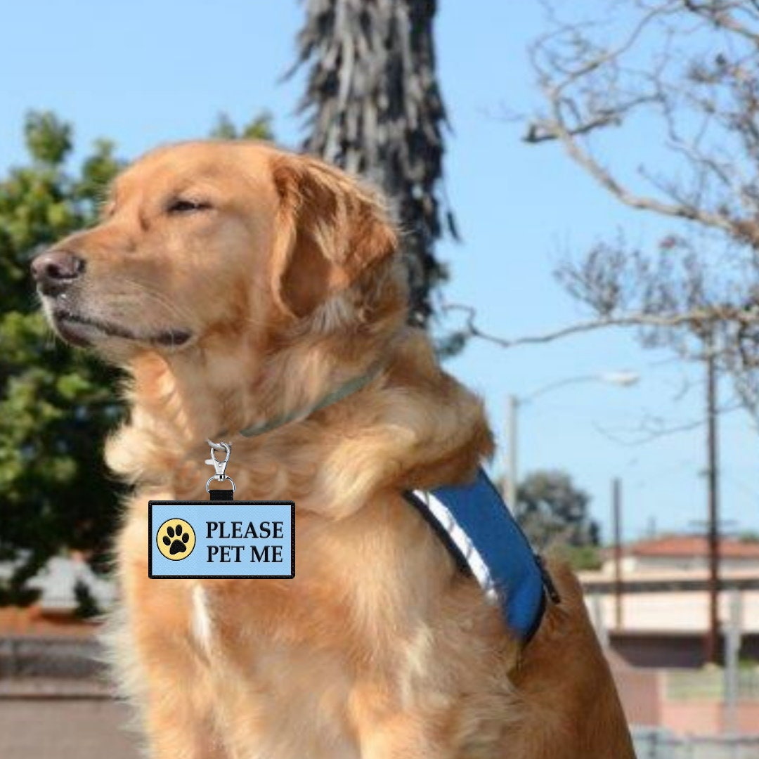 PLEASE PET ME Service Dog Identification Paw Print Patch Tag | Etsy