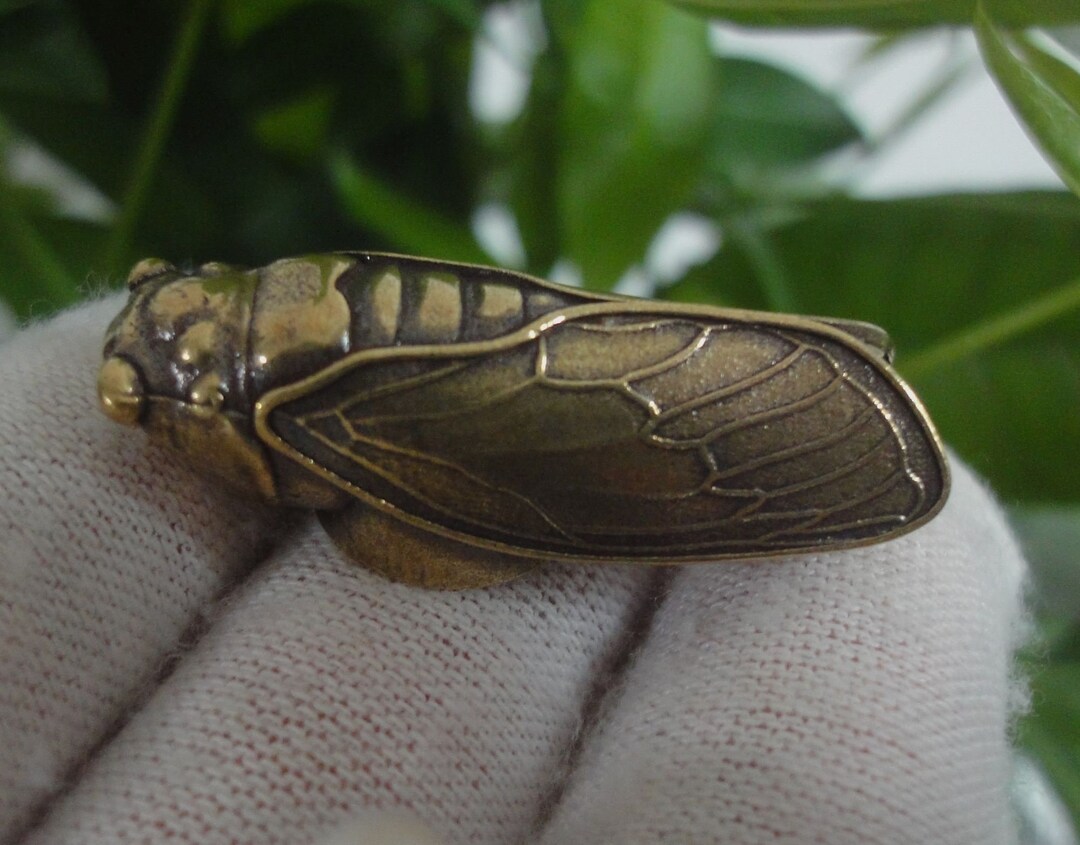 Chinese Antiqued Fine Pure Brass Casting Cicada Statue Desk Decoration ...
