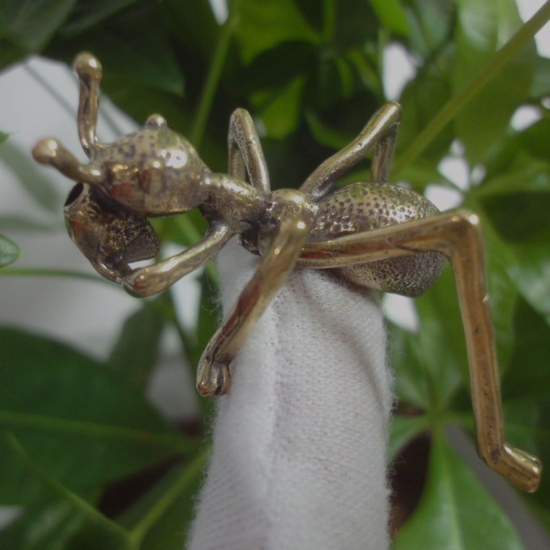 Ant Sculpture - Etsy