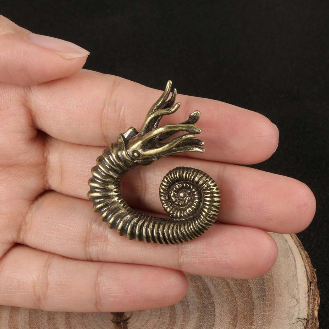 Antiqued Chinese Solid Brass Marine Ammonite Snake Statue - Etsy