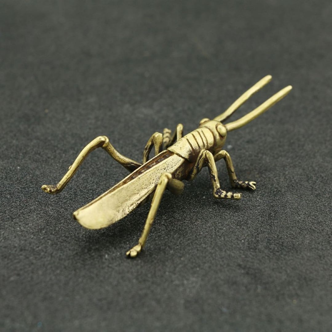 Chinese Old Solid Bronze Grasshopper Figurine Insect Statue - Etsy