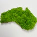 Map of the World Made of Weed Moss - Green Map - Etsy Canada