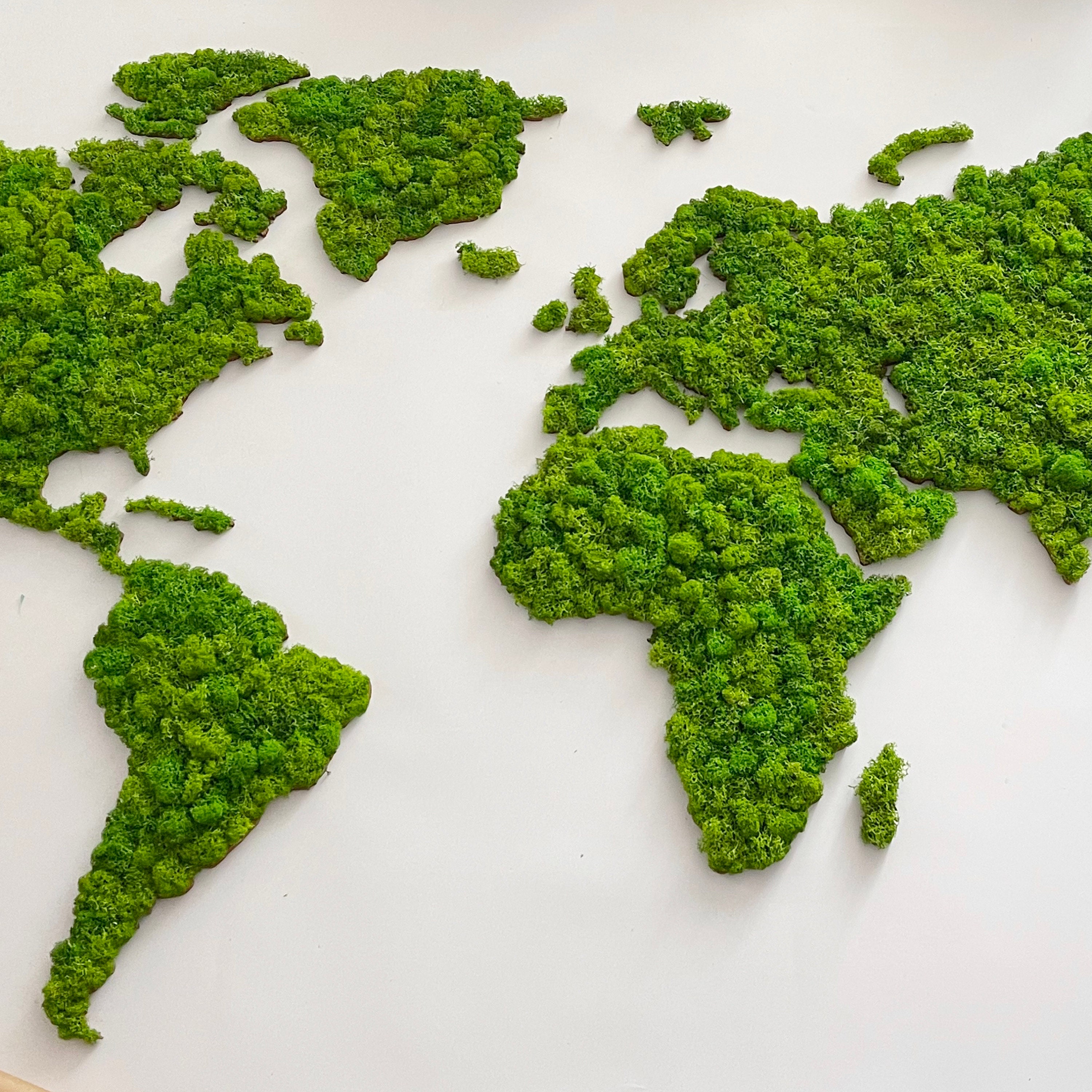 Map of the World Made of Weed Moss Green Map - Etsy