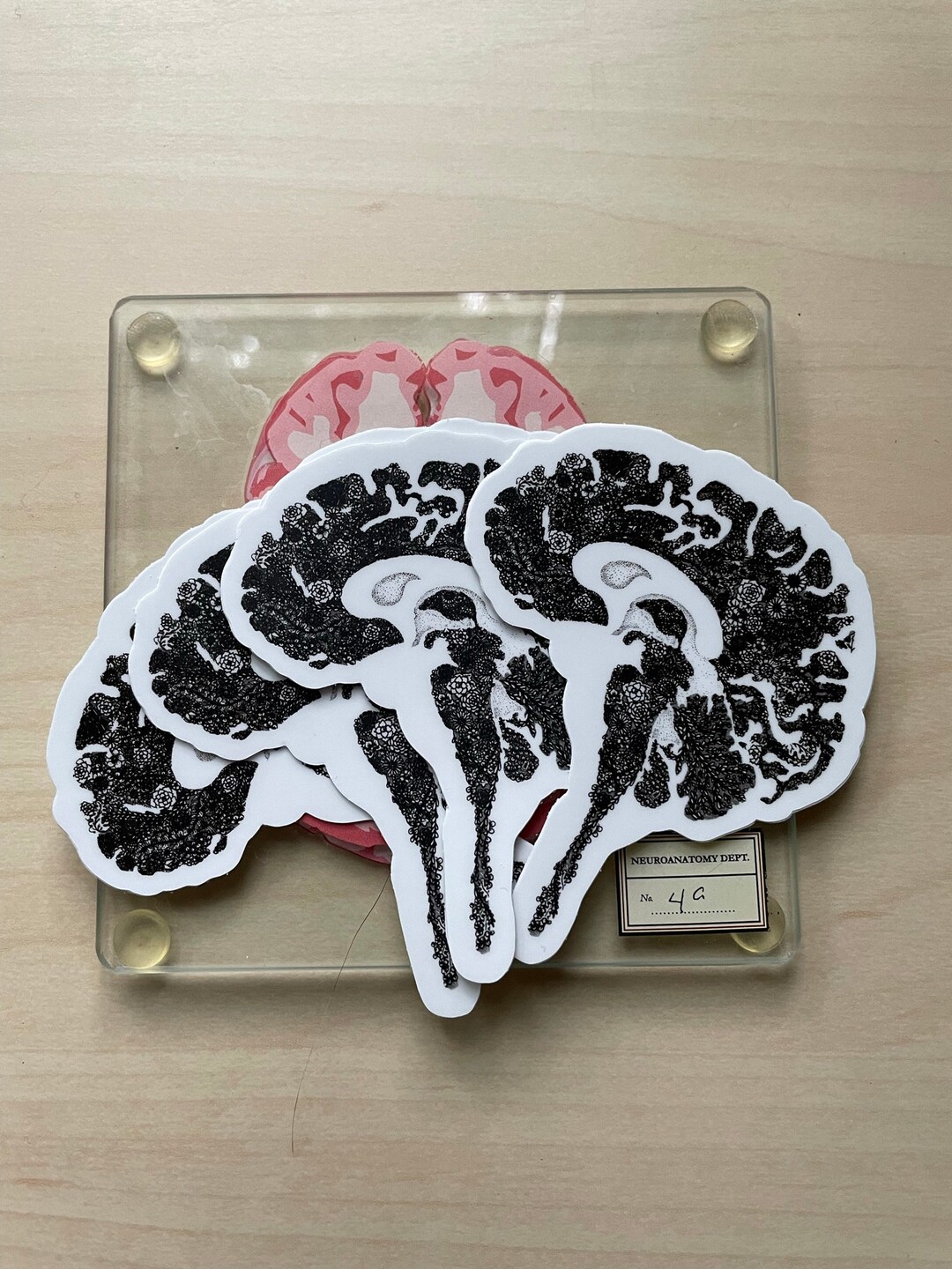 STICKERS: Brain MRI Flowers - Etsy