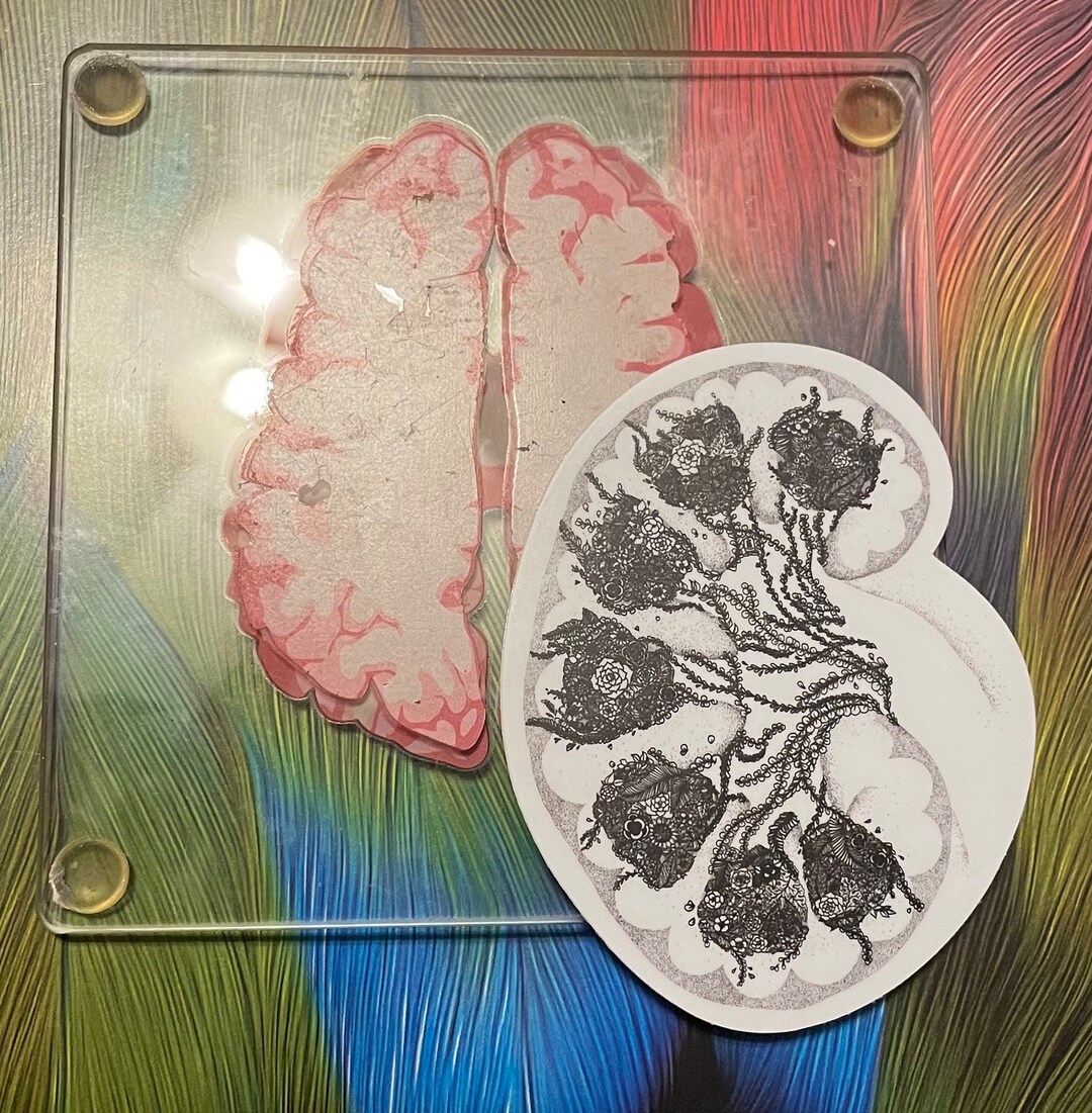 STICKERS: Left Kidney Flowers - Etsy