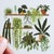 Living Walls, Plant Walls, Green Walls, Stickers, Plant Mom, Plant ...