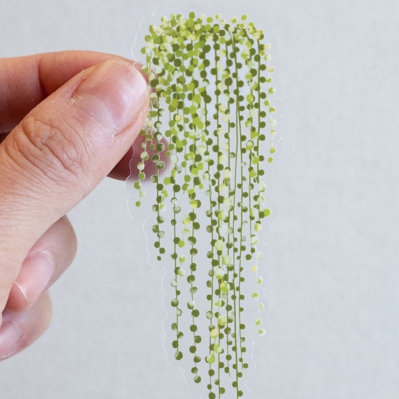 LivingGreenery - Etsy