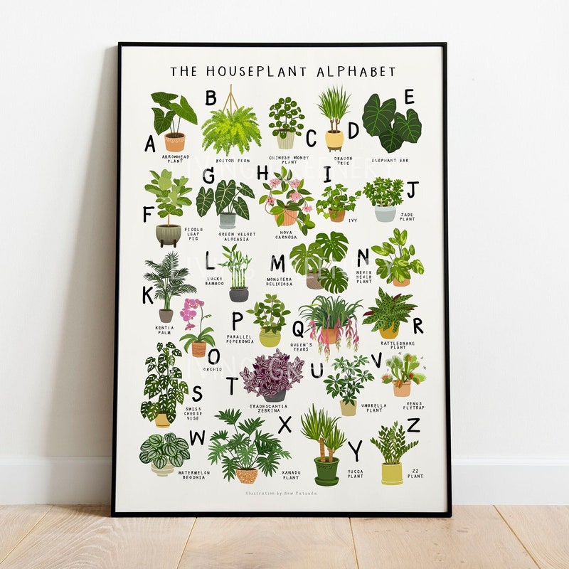 Plant Poster - Etsy