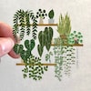 Monstera Adansonii Sticker, Swiss Cheese Plant Sticker, Clear Monstera ...
