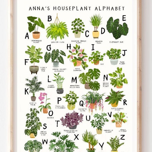 A-Z of Houseplants Plant Poster House Plants Print Alphabet - Etsy