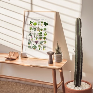 Houseplant Alphabet Print, Houseplant A-Z, House Plant Poster, House ...