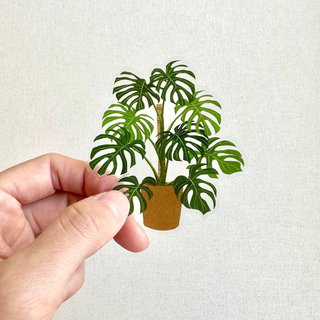 Clear Monstera Plant Sticker, Weatherproof Die Cut - Etsy