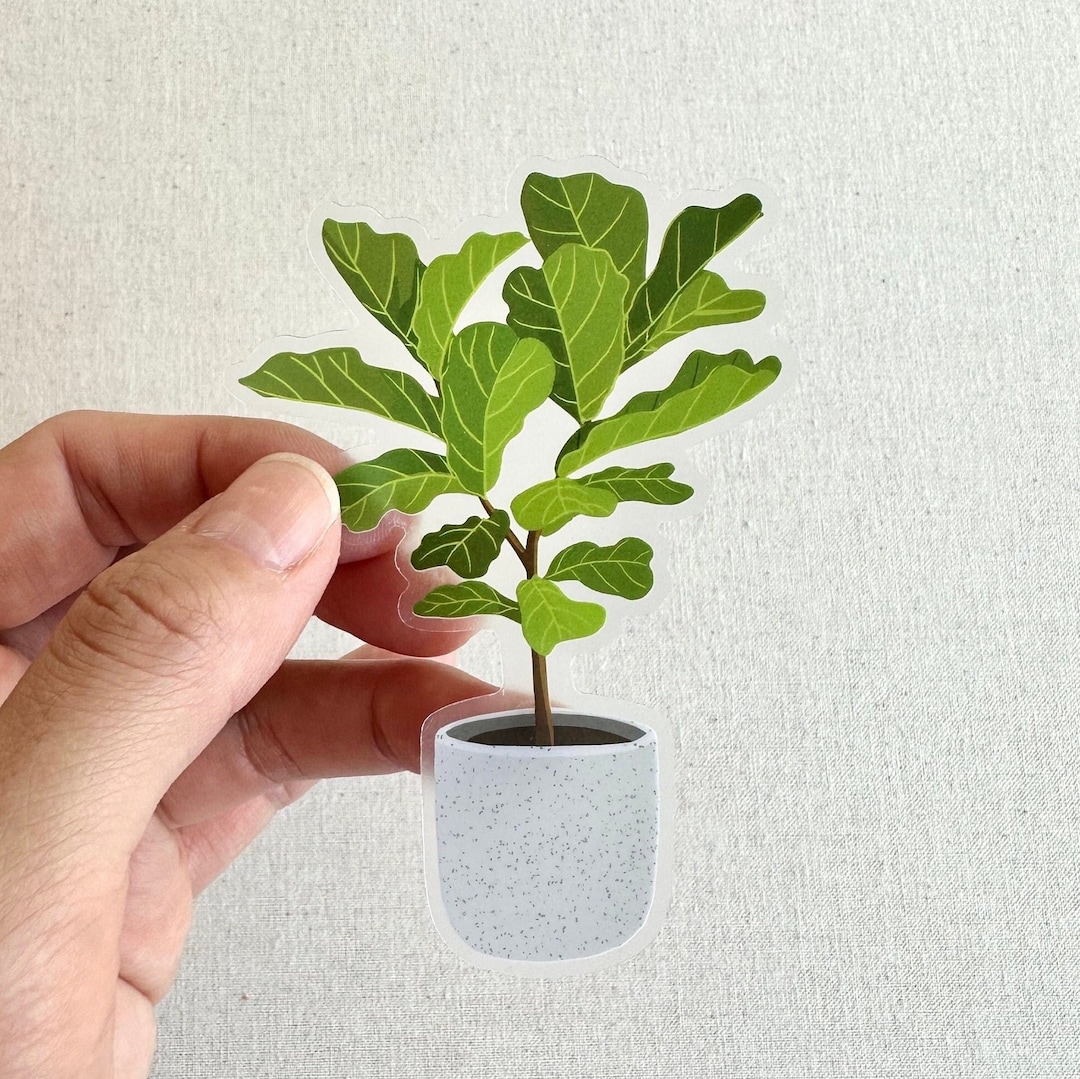 Clear Fiddle Leaf Fig Sticker Plant Mom, Plant Sticker, Laptop Sticker ...