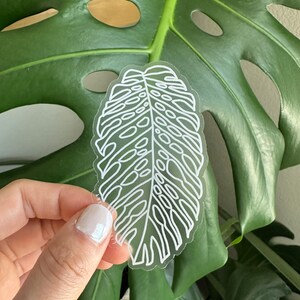 Clear Monstera Adansonii Sticker, Water Bottle Sticker, Laptop Sticker ...