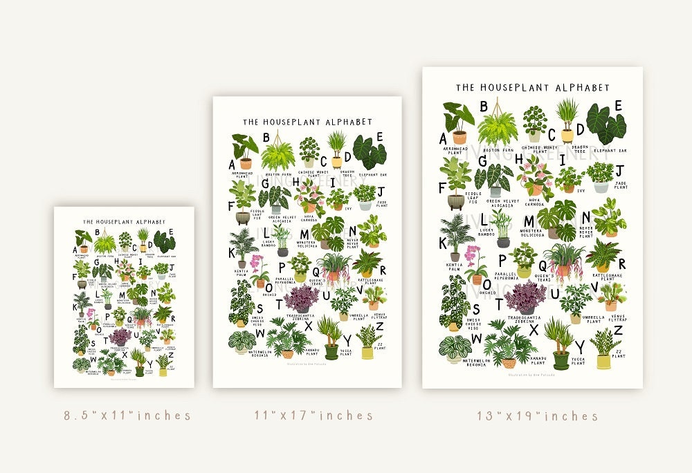 Houseplant Alphabet Print, Houseplant A-Z, House Plant Poster, House ...