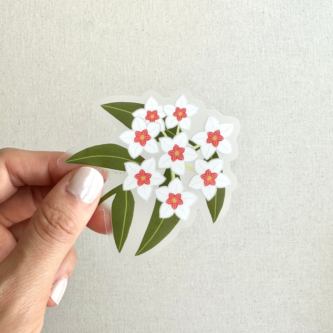 Clear Hoya Flower Sticker, Flower Sticker, Water Bottle Sticker, Laptop ...