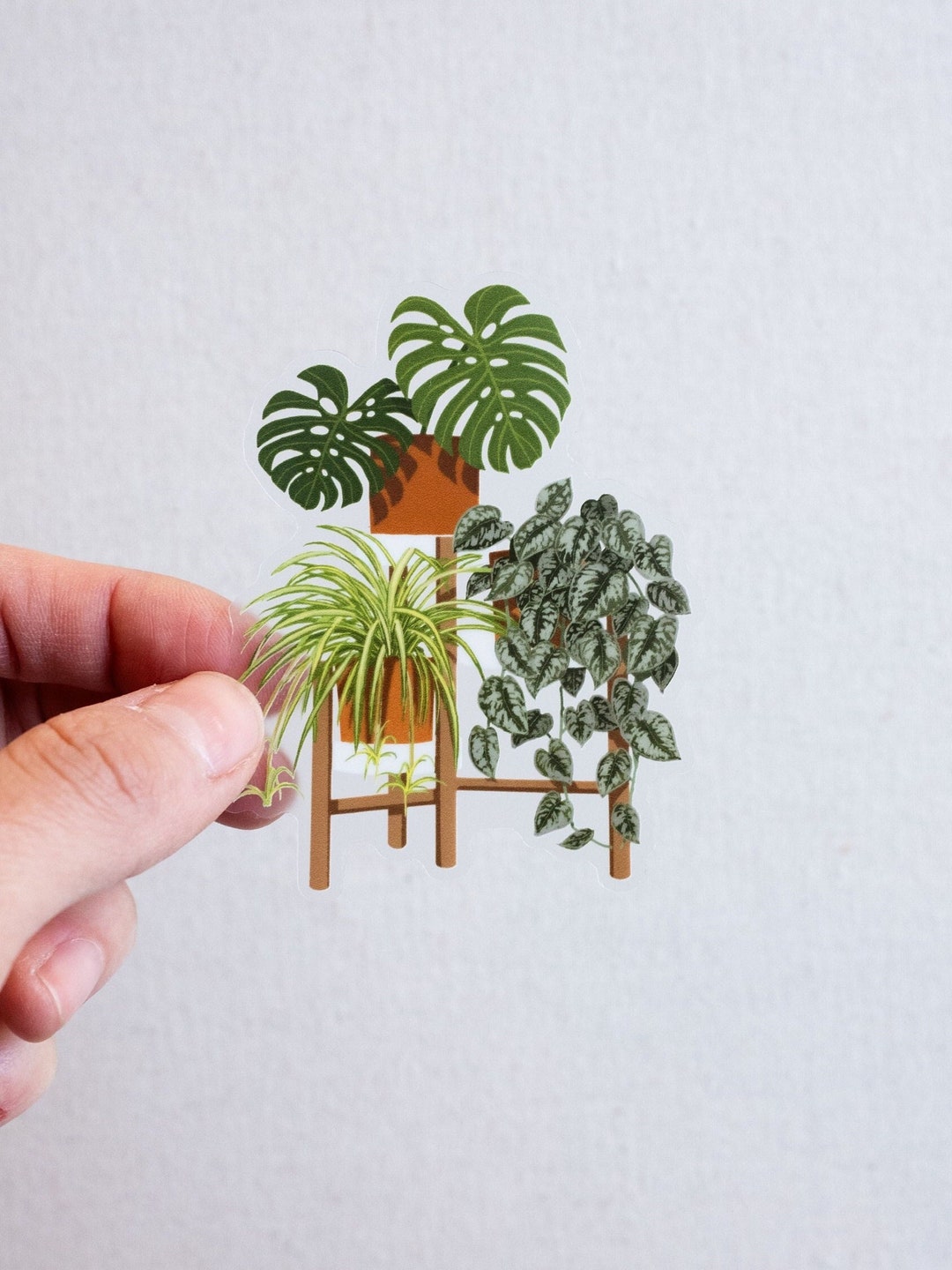 Clear Vinyl Plant Sticker, Satsuma Design, Weatherproof - Etsy
