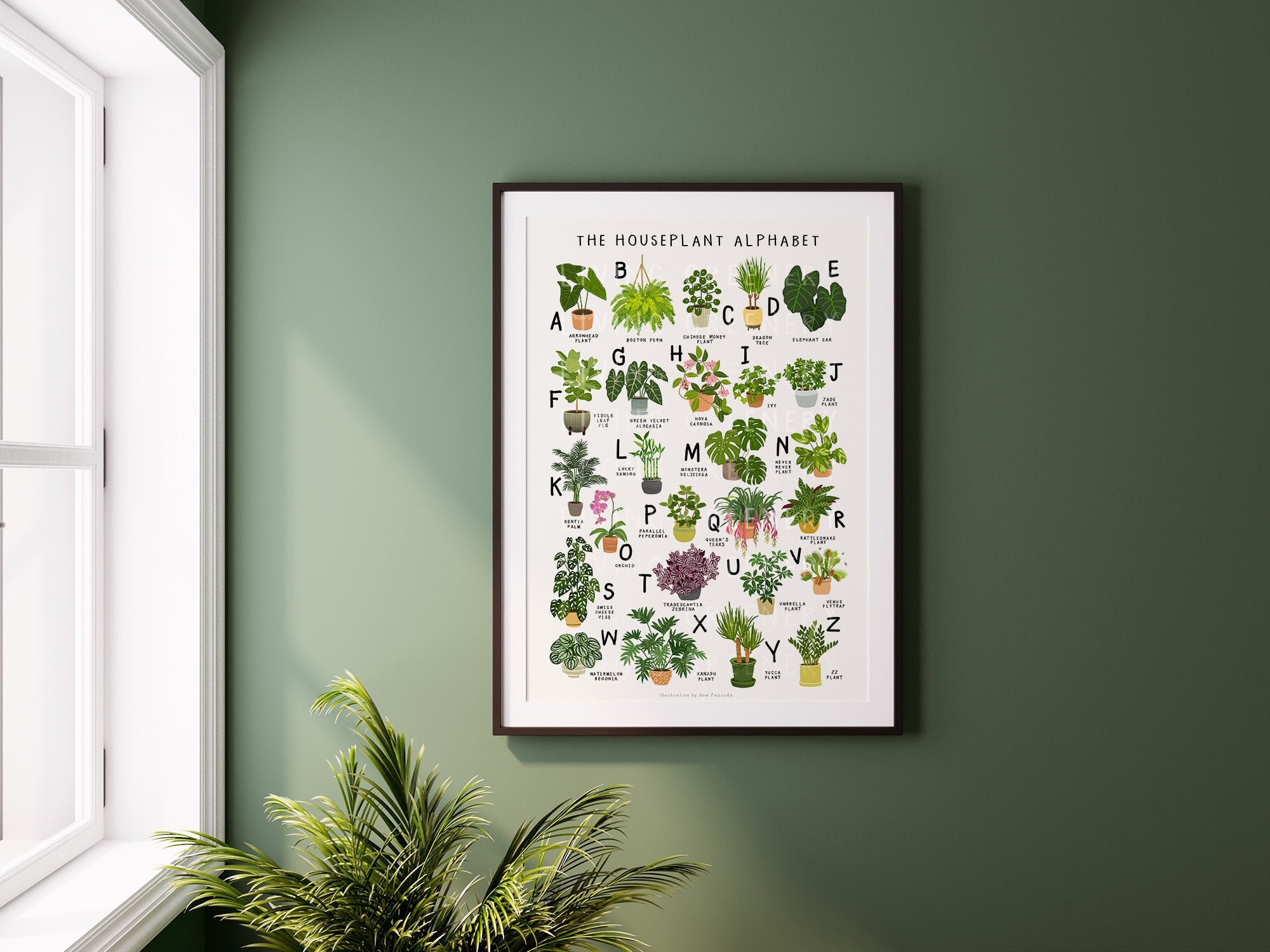 Houseplant Alphabet Print, Houseplant A-Z, House Plant Poster, House ...