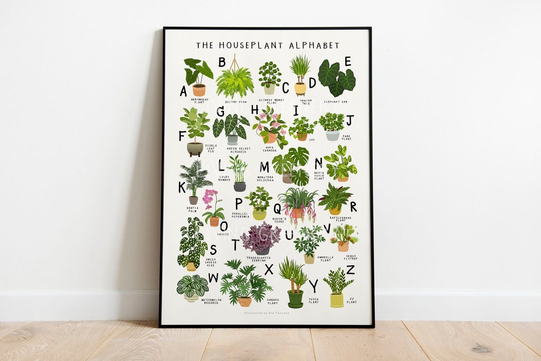 Houseplant Alphabet Print, Houseplant A-Z, House Plant Poster, House ...
