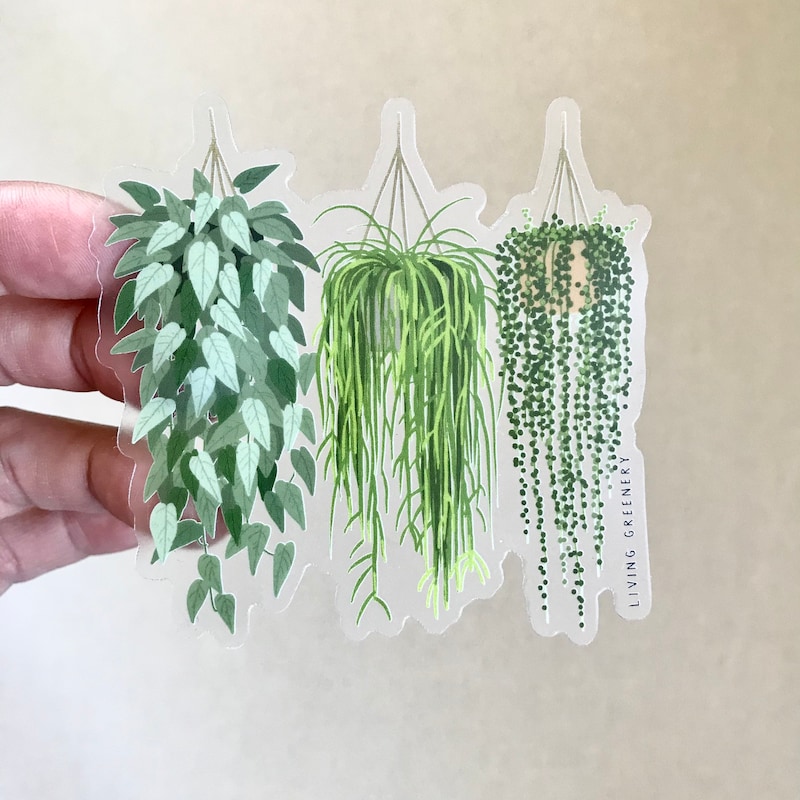 Plant Sticker - Etsy