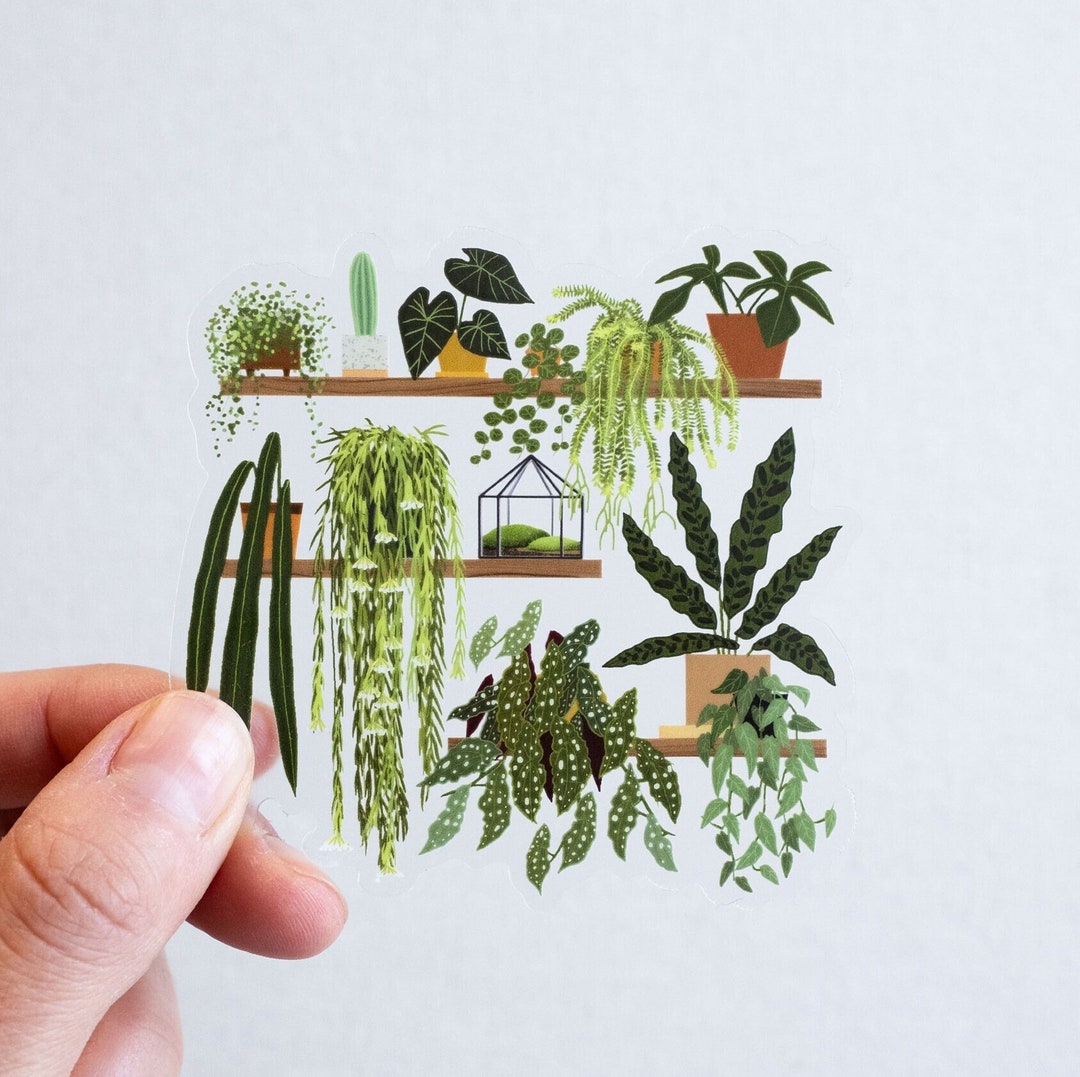 NEW Clear Plants on Shelf Sticker, Plant Mom, Houseplant Sticker ...