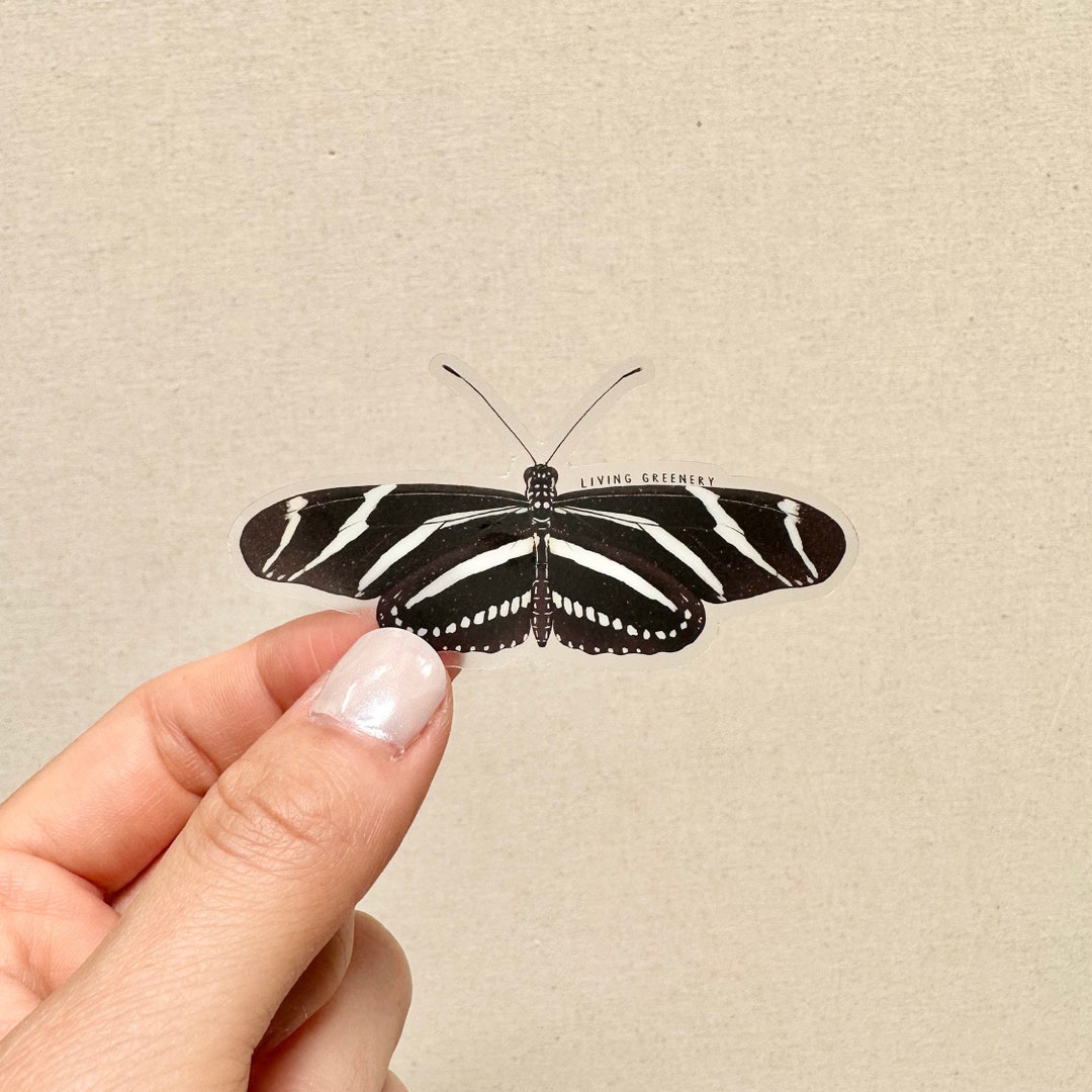 Clear Zebra Longwing Butterfly Sticker, Weatherproof Sticker, Die Cut ...