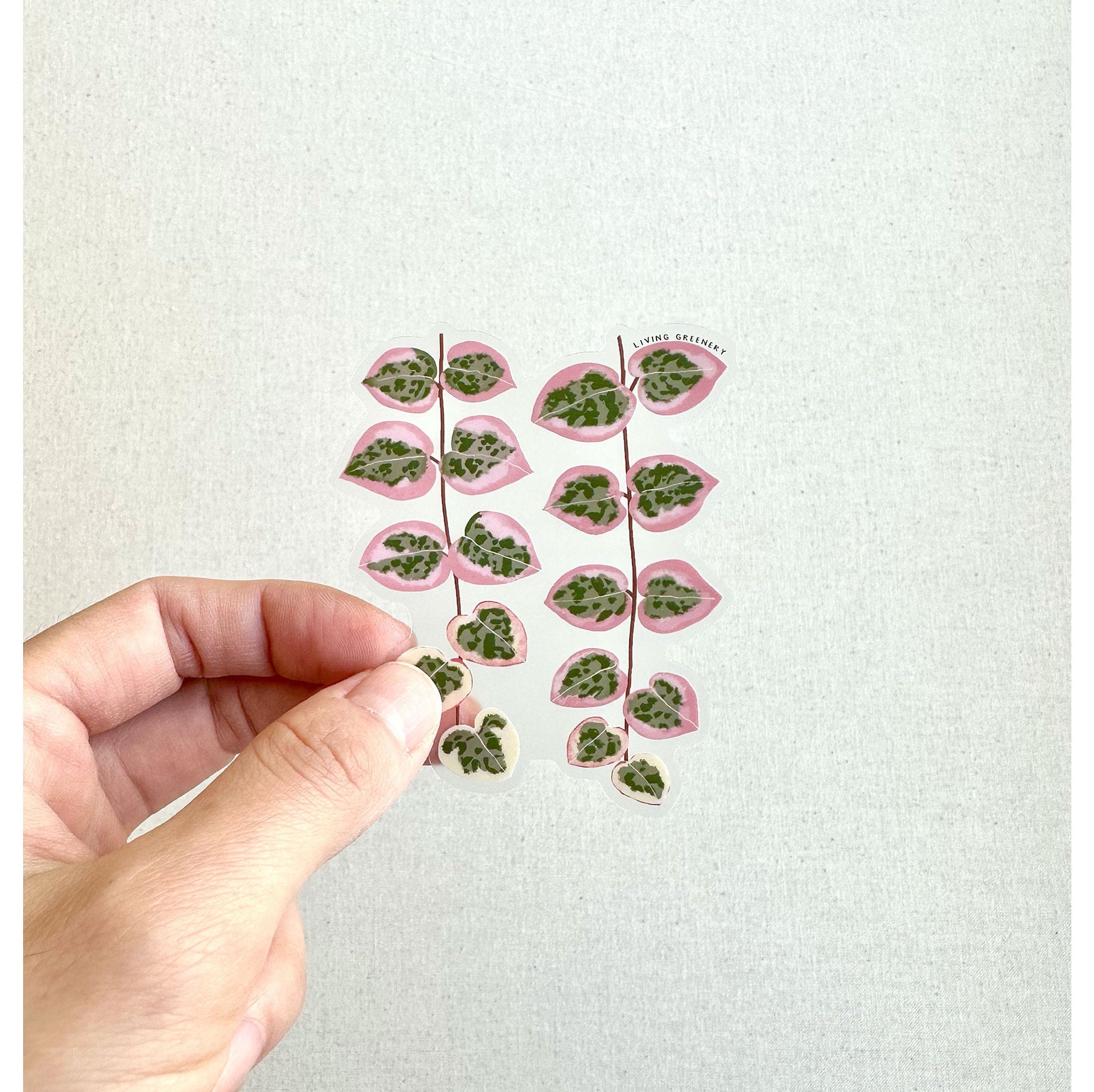 Variegated String of Hearts Sticker, Weatherproof Plant Decal - Etsy