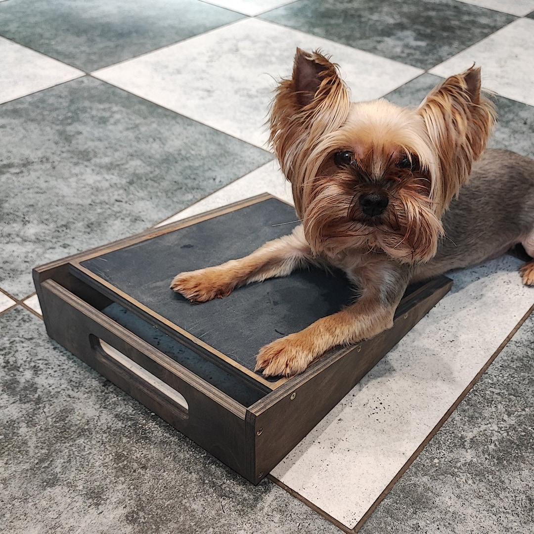 Dog Scratchpad, Dog Scratcher, Pet Furniture, Scratch Board for Dog ...