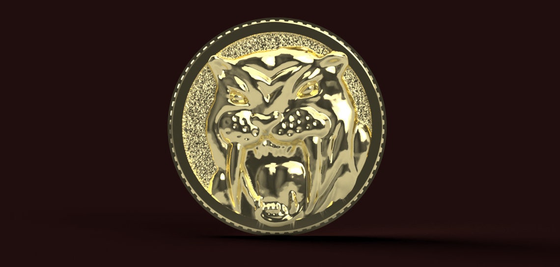 Fan Made MMPR Master Coins STL FILES - Etsy