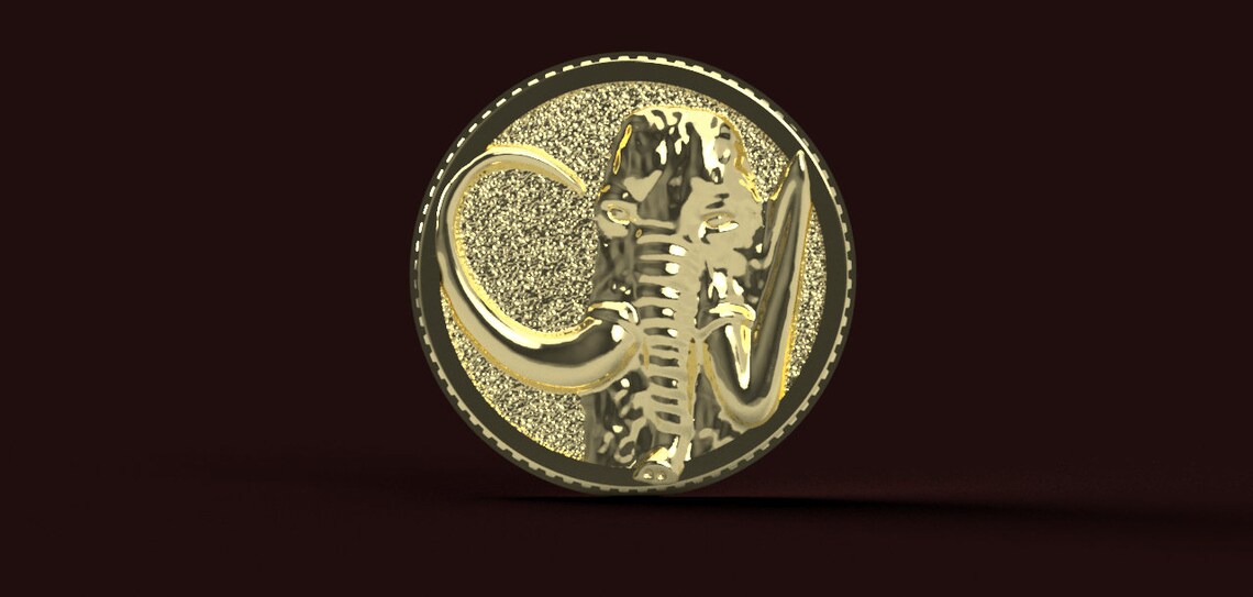 Fan Made MMPR Master Coins STL FILES - Etsy