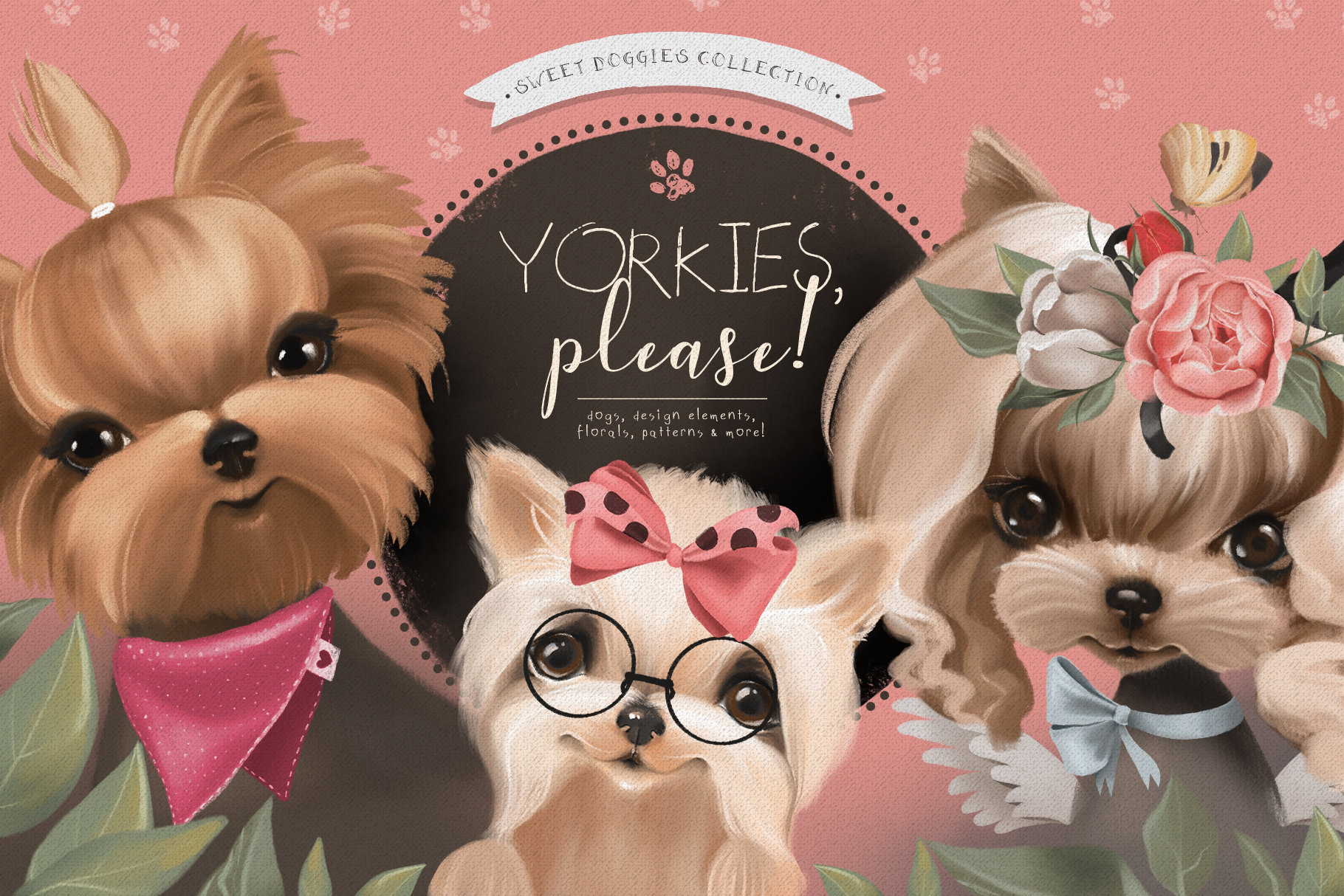 Cute Baby Yorkies
