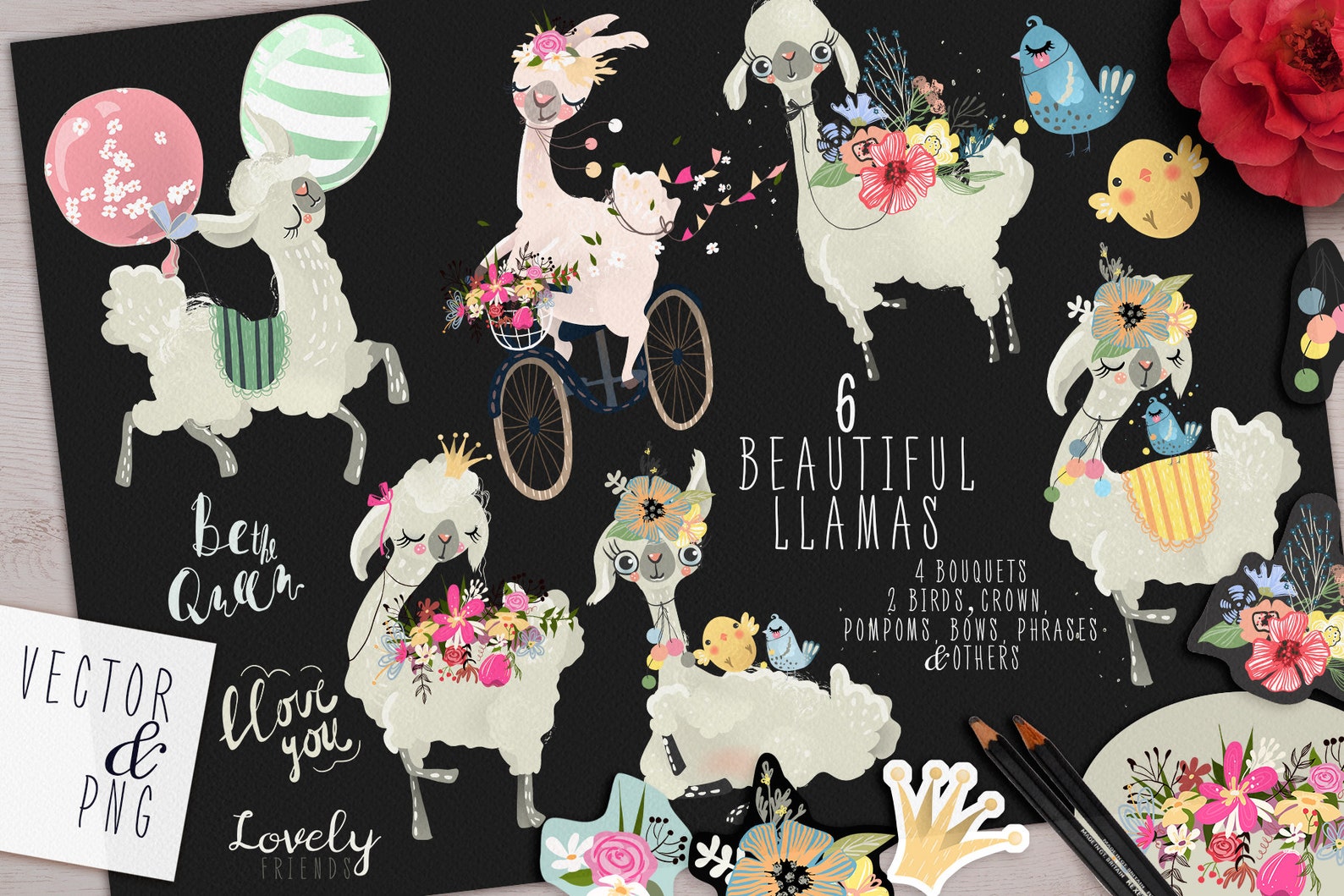 Floral Llamas Digital Clipart Llama Alpaca Cute Baby - Etsy