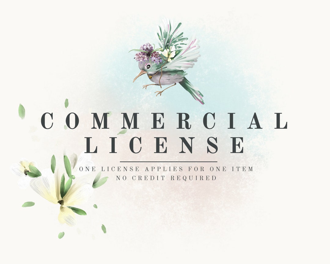 COMMERCIAL LICENSE for Small Business for Single Product - Etsy
