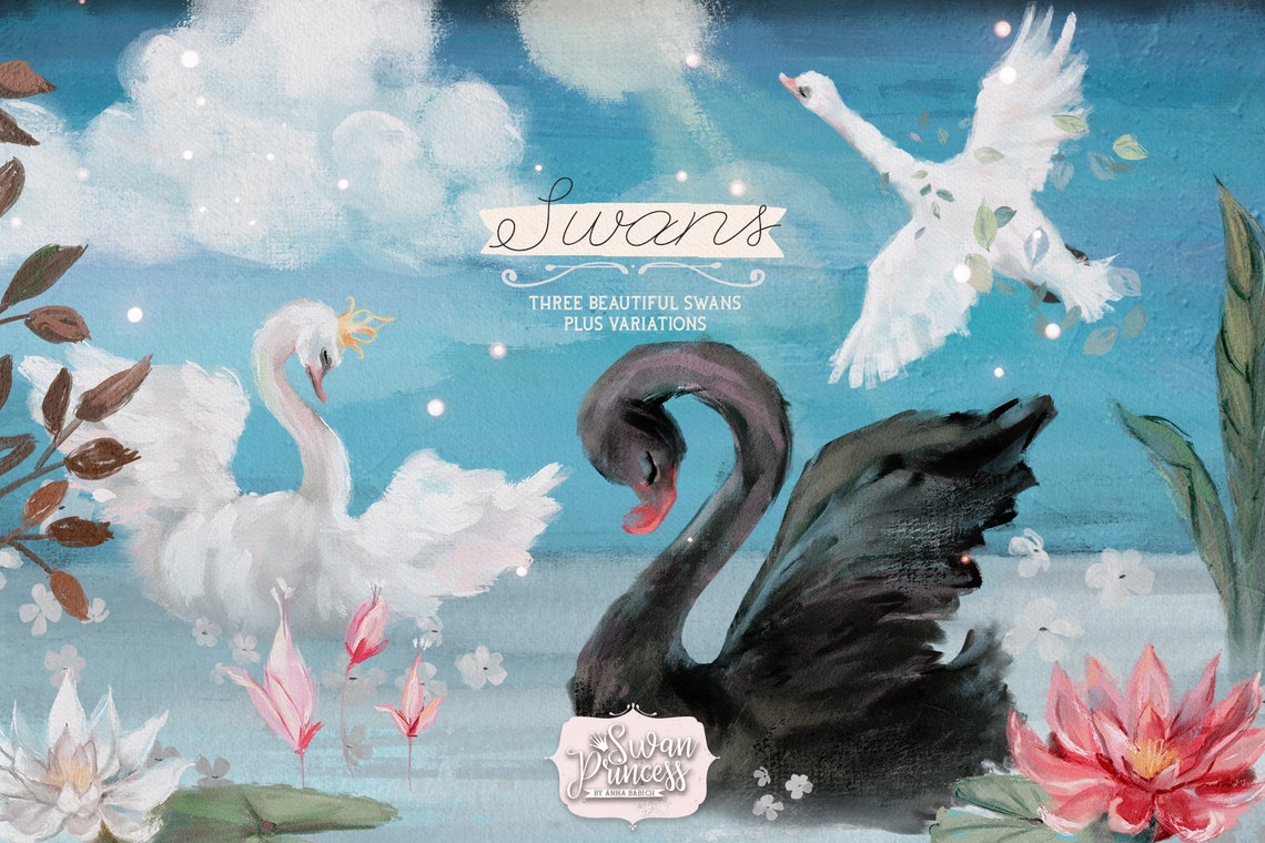 Swan Princess Create Your Own Tale Swan Princess Baby - Etsy