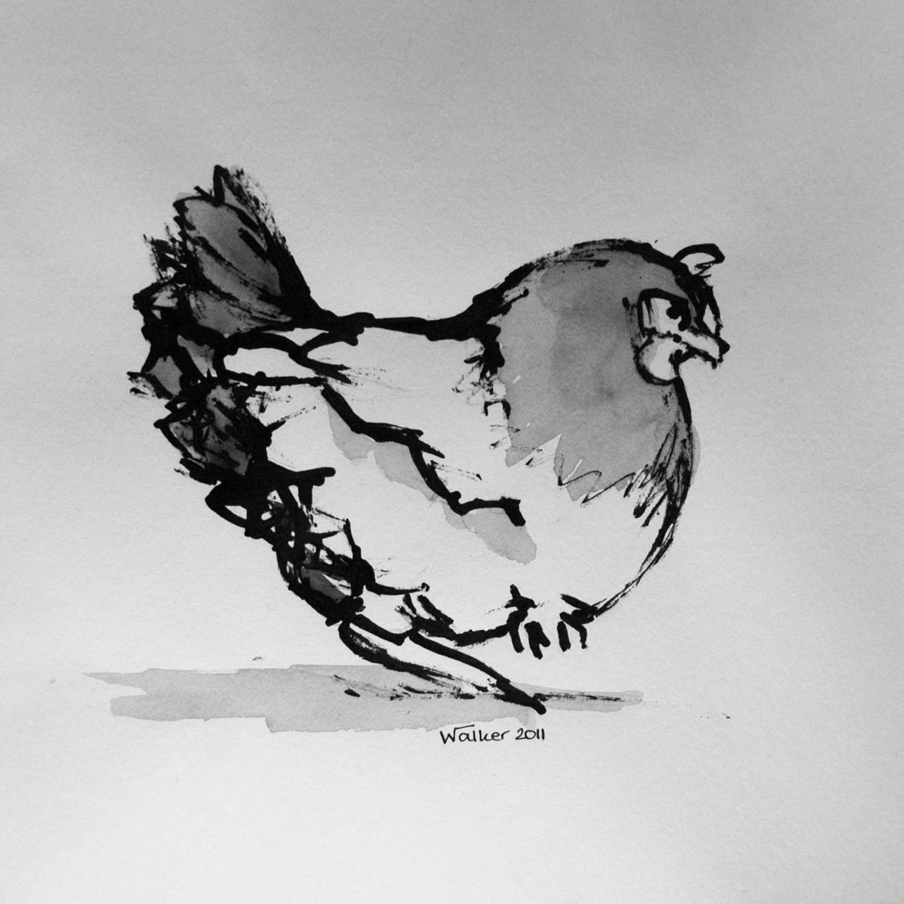 Chicken - Original Ink and Wash Sketch by the Scottish Artist Micaela ...