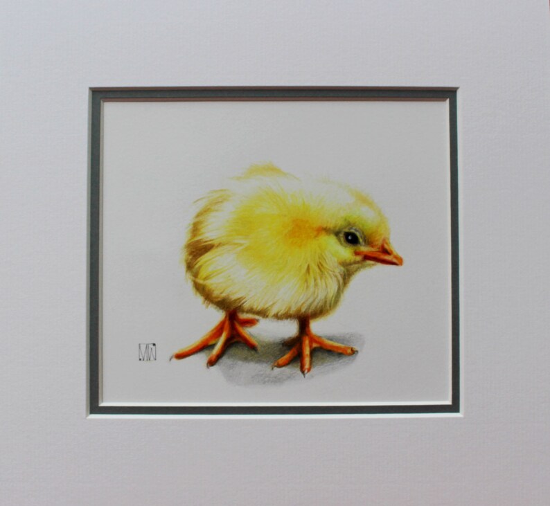 Original Coloured Pencil drawing Chick by Micaela Walker | Etsy