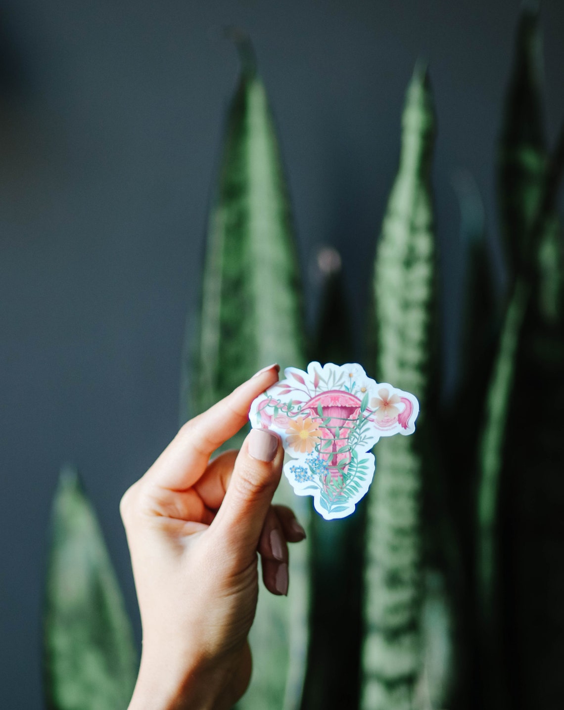 Floral Uterus Clear Sticker Feminist Reproductive Rights Womb | Etsy