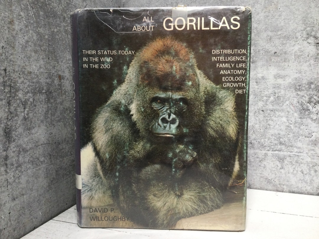 Rare Book All About Gorillas 1978 Vintage With - Etsy